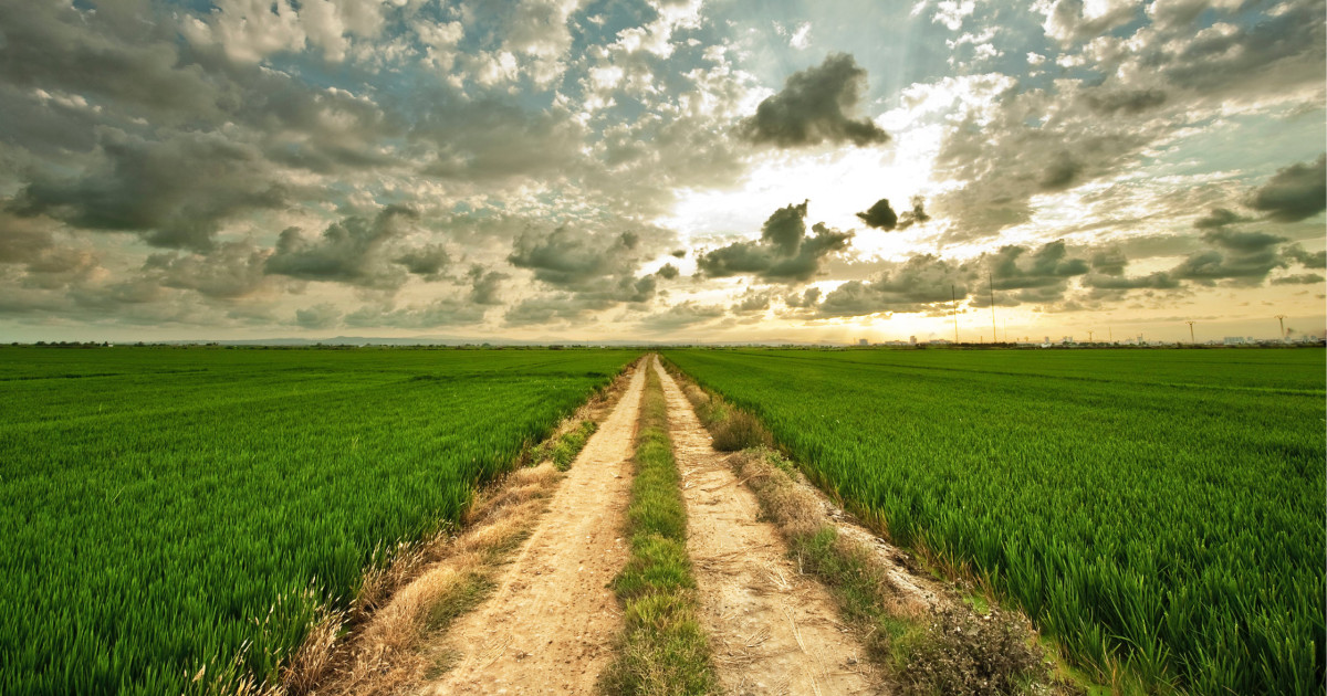 Nebraska Farmland for Sale: Cultivate Your Dreams with American Legacy ...