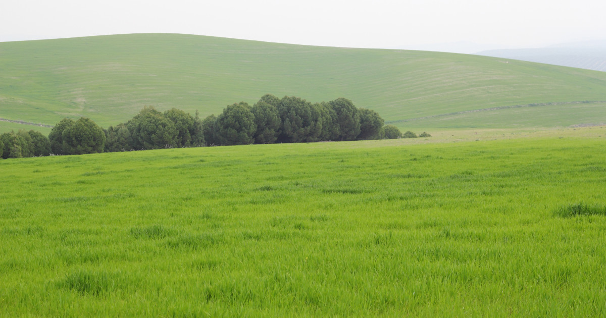 What to Know About Buying Raw Land in Nebraska | Nebraska Realty