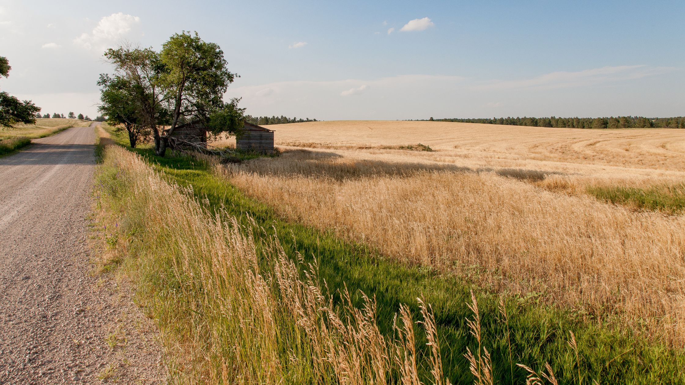 Top Reasons to Live in Central Nebraska | Nebraska Realty